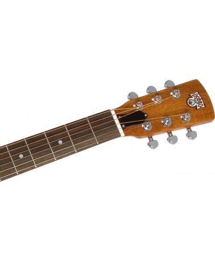 EPIPHONE DOBRO HOUND DOG M-14 METAL BODY